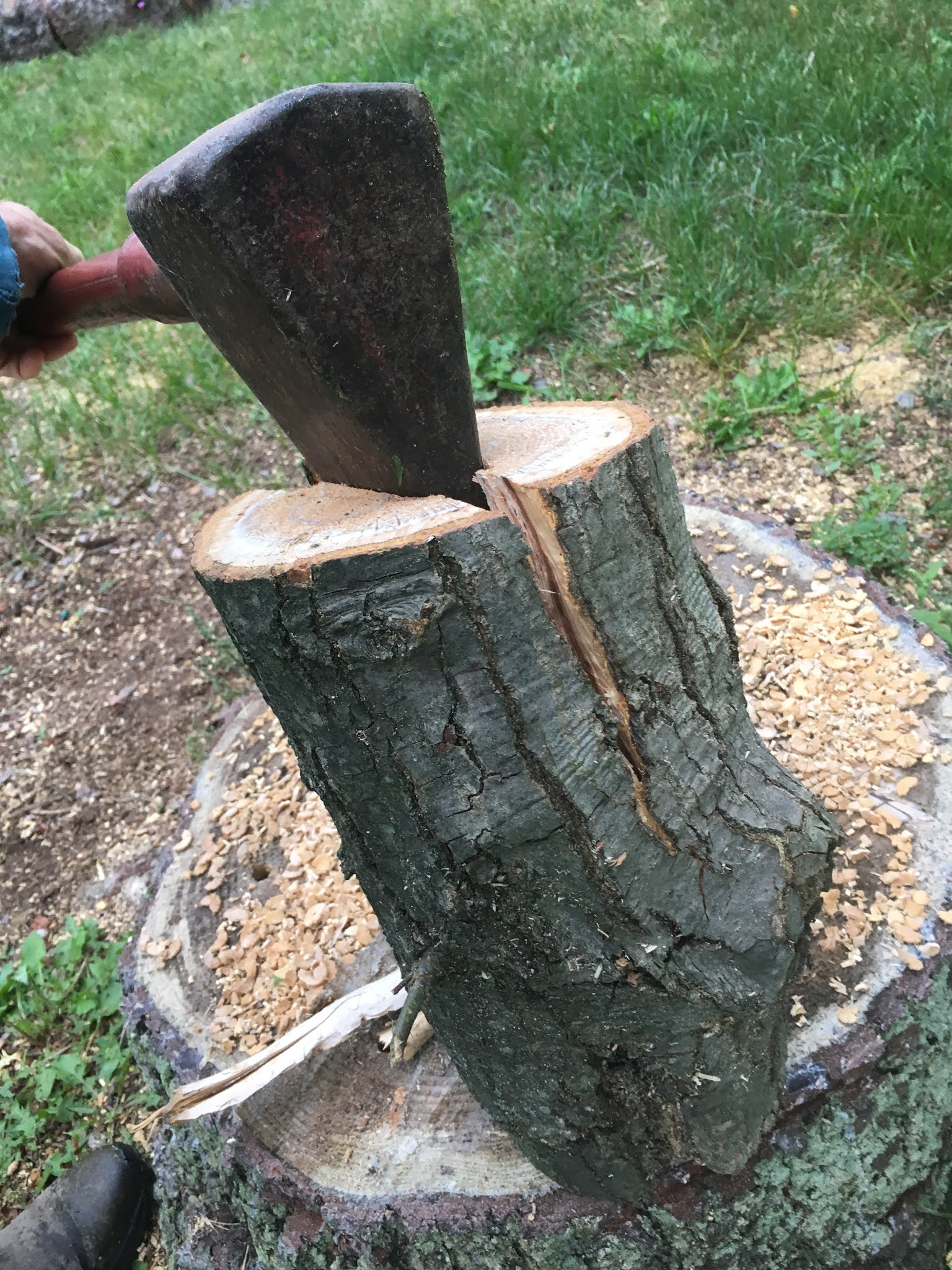 Of Splitting Oak and People (and How to Prevent the Latter) - resilience