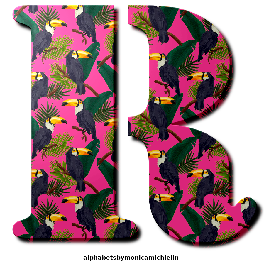M. Michielin Alphabets: TOUCAN ALPHABET PINK BACKGROUND, NUMBERS, ICONS ...