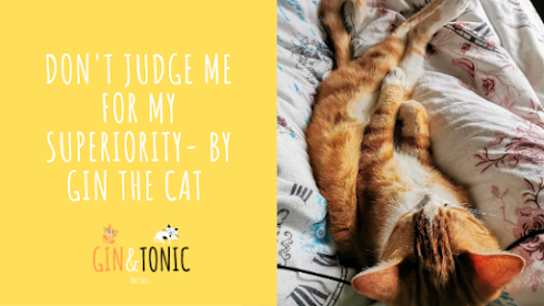 Tales with Gin and Tonic the cats