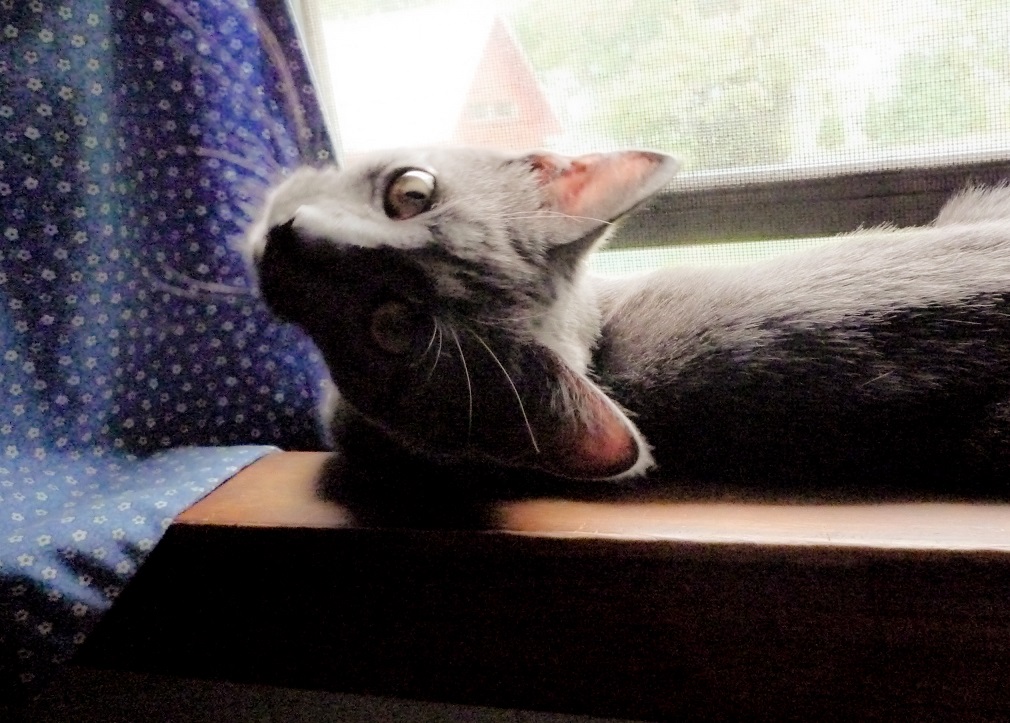 Searching for a Balance: just hide the matches