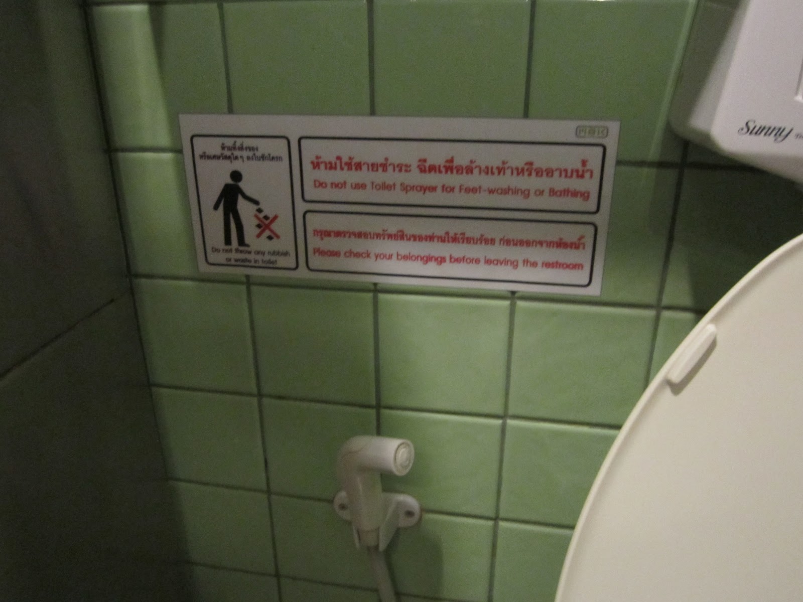 Fields of Heather: Introduction to Tinglish