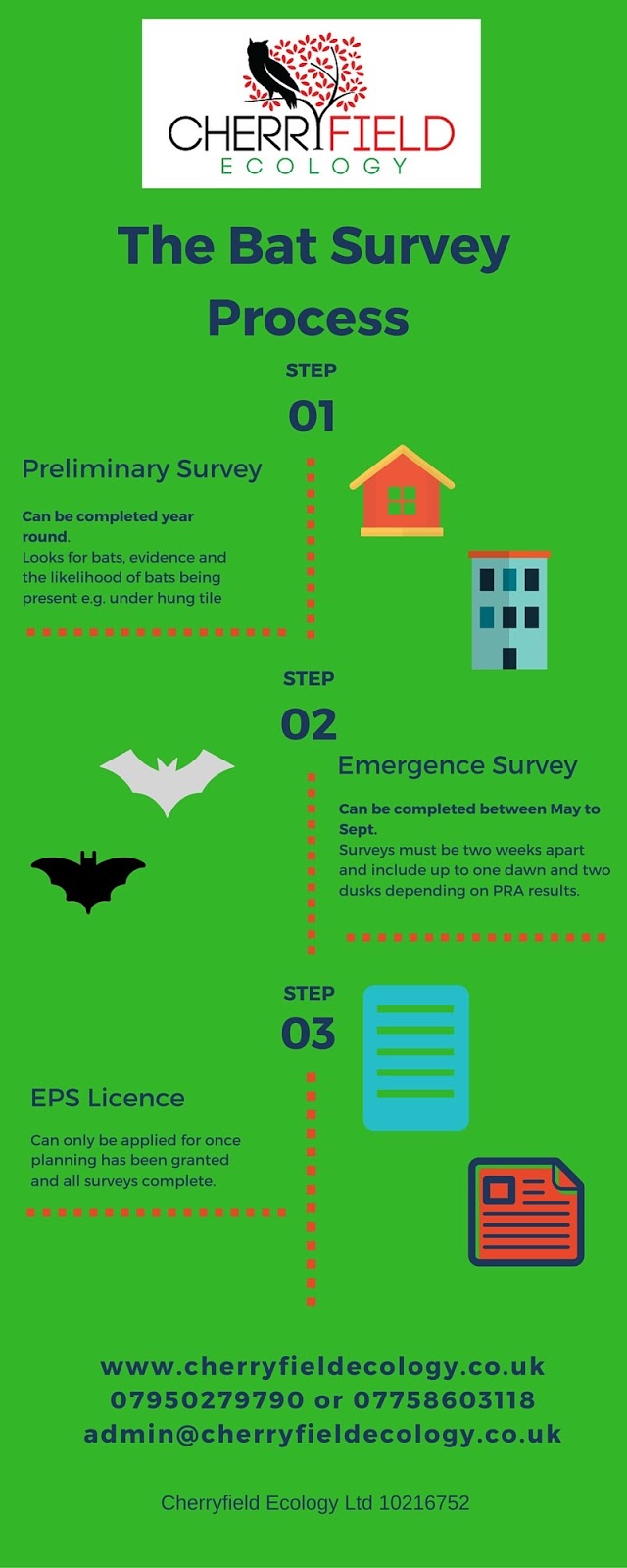 Cherryfield Ecology: Bat survey process