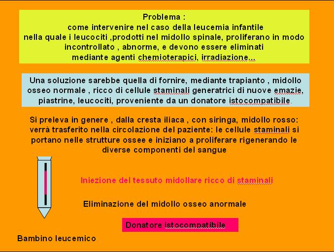 osservando: staminali da midollo o cordone ombelicale