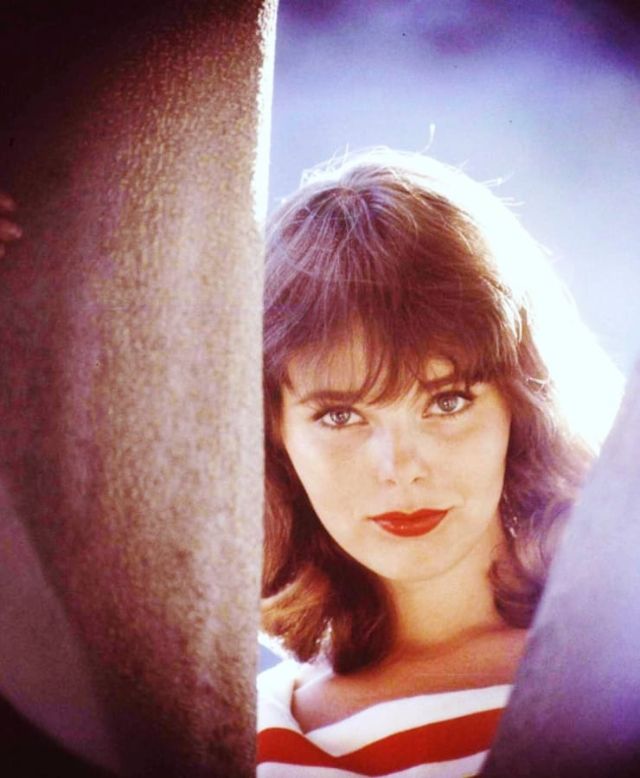 30 Glamorous Photos of Anne Helm in the 1950s and ’60s ~ Vintage Everyday