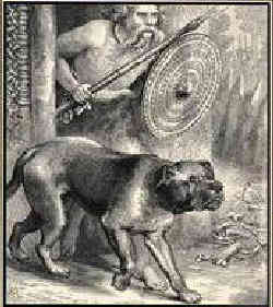 Il Molosso , il cane autoctono dell'Albania - Turismo in Albania