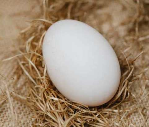 'FUTILITY' BY WILFRED OWEN