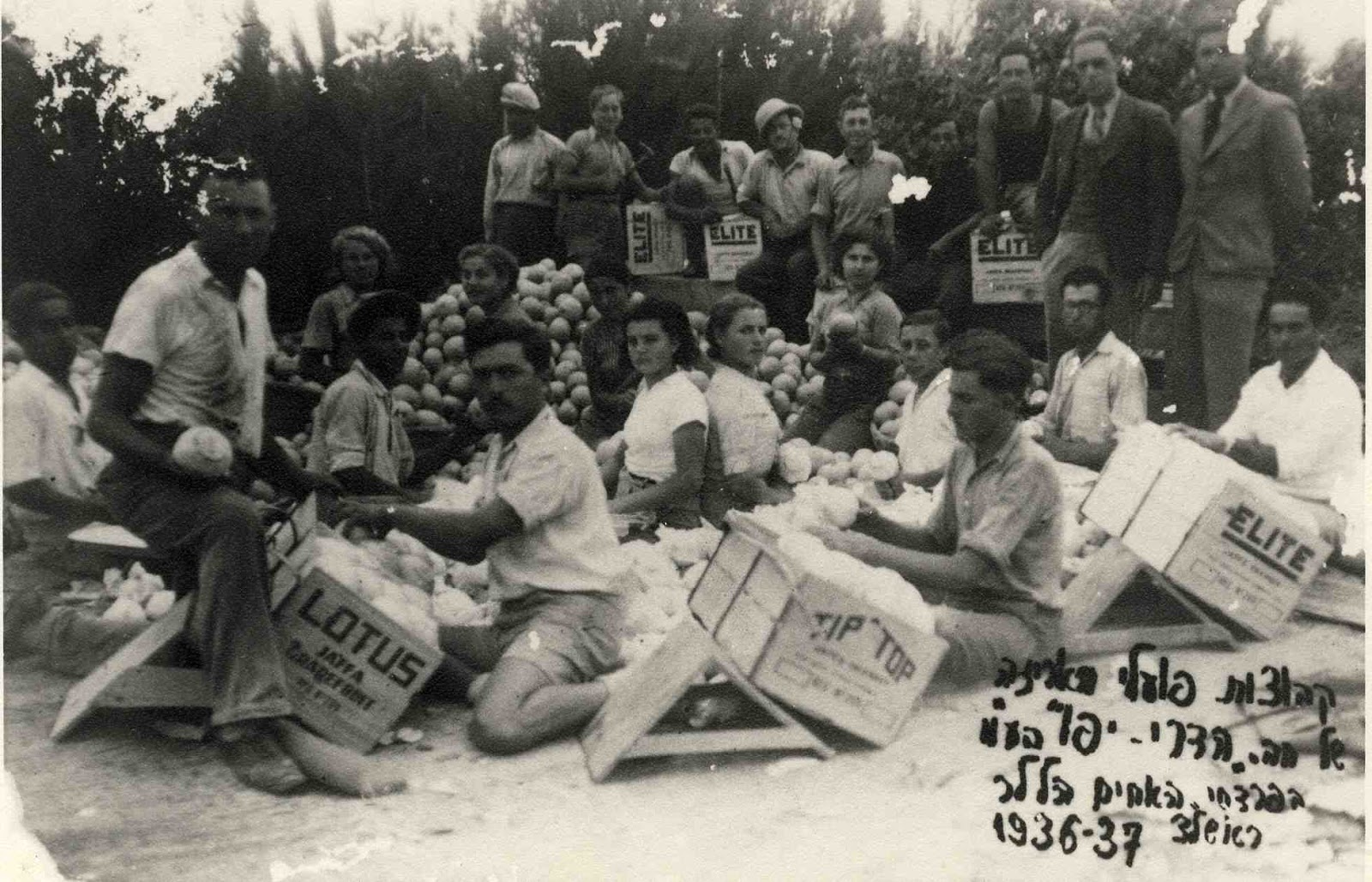 Incursiune in istoria locală: Pardes Hanna-Karkur și portocalele Jaffa ...