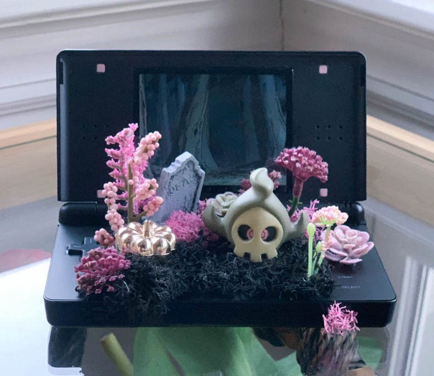 EPBOT: These Pokémon Terrariums Turn Nintendo Game Systems Into Magical ...