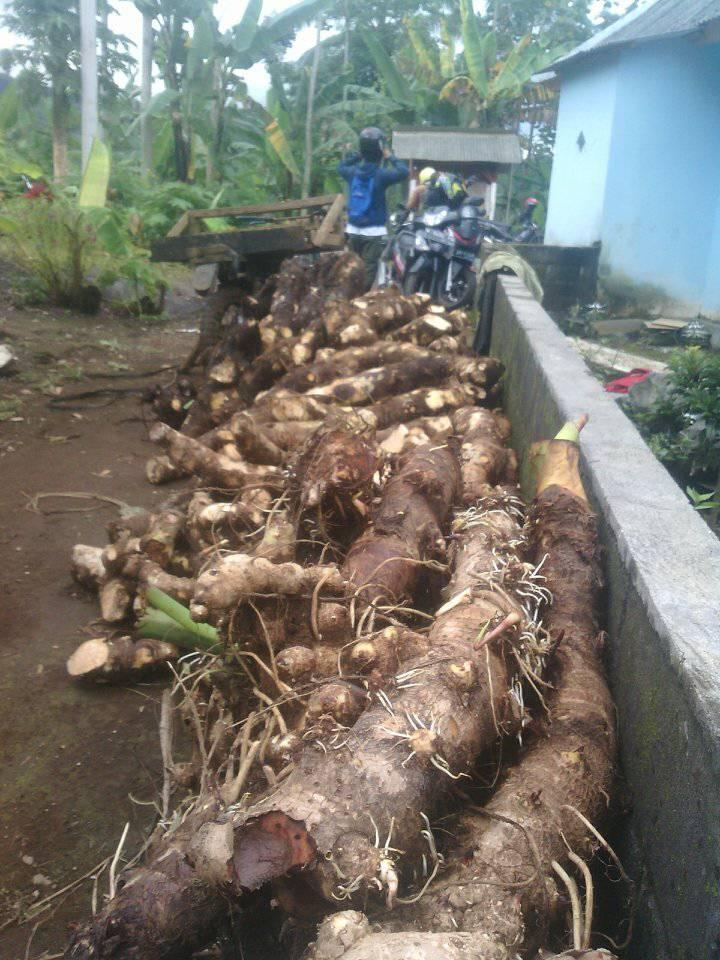 CV.TALAS JAYA NUSANTARA