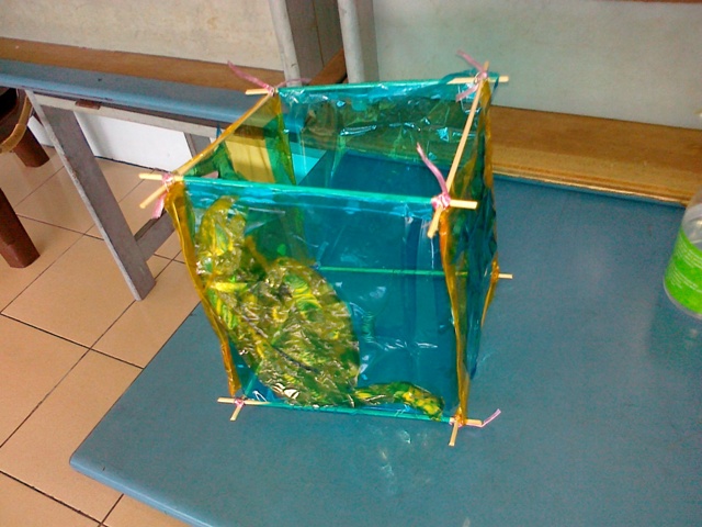 Tang Lung : Cara Buat Tang Lung Cina.