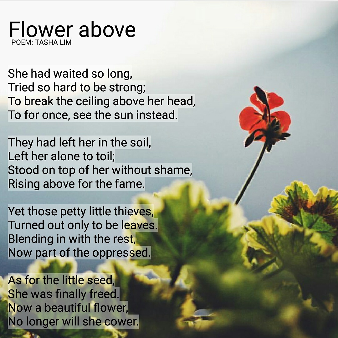 Poem #89: Flower above