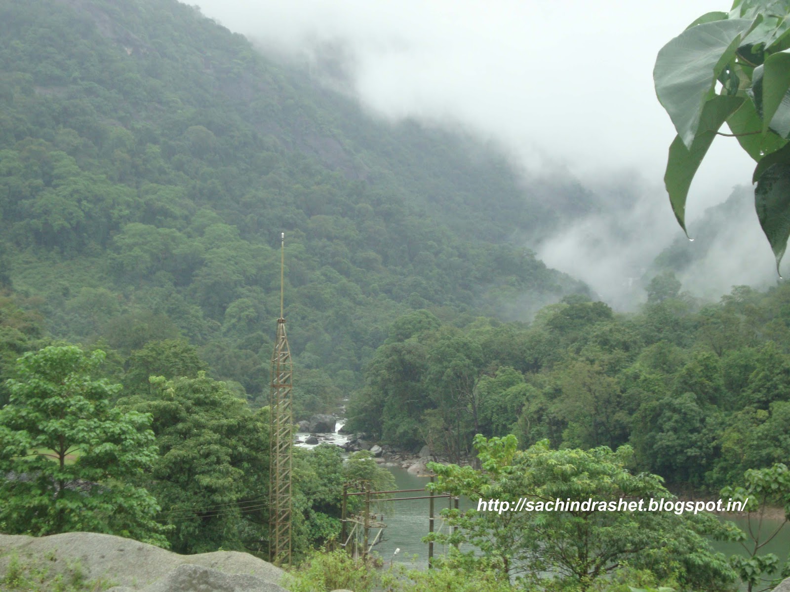 Exploring Nature: Metkal Gudda, Hosangadi