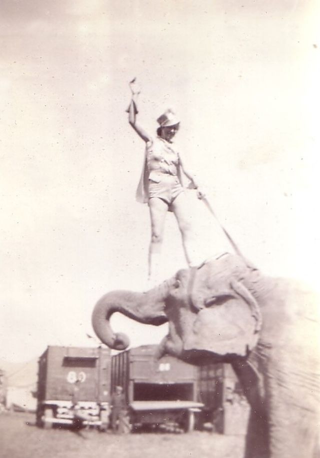 An Elephant Holds a Circus Performer in Its Mouth, 1937 ~ Vintage Everyday