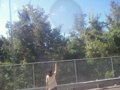 Brazil Weird News: The Strange Bubble in Florida Sky