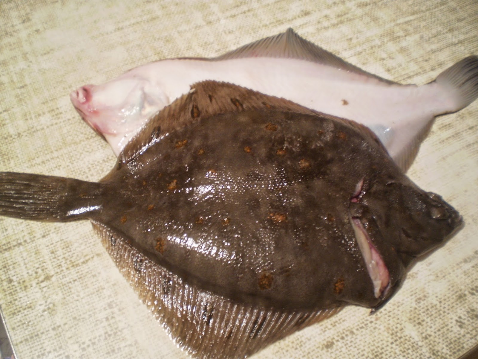 vinotava1: ZELTA PLEKSTE AR ĶIPLOKU UN MUSKATVĪNOGU ETIĶA MĒRCI