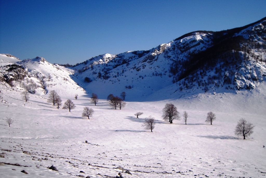 Nefertari Claire: 2011 - Colindand muntii nostri in luna lui Germanar ...