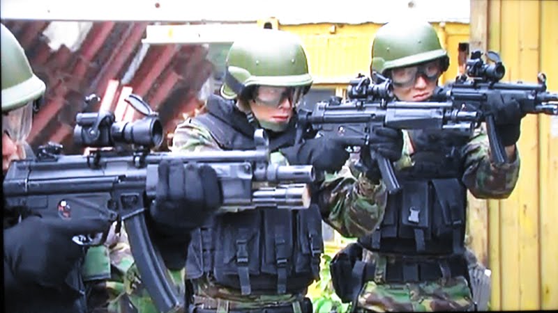 FrankCQB 1/6 Figures: Hong Kong Police - Special Duties Unit (Jungle ...