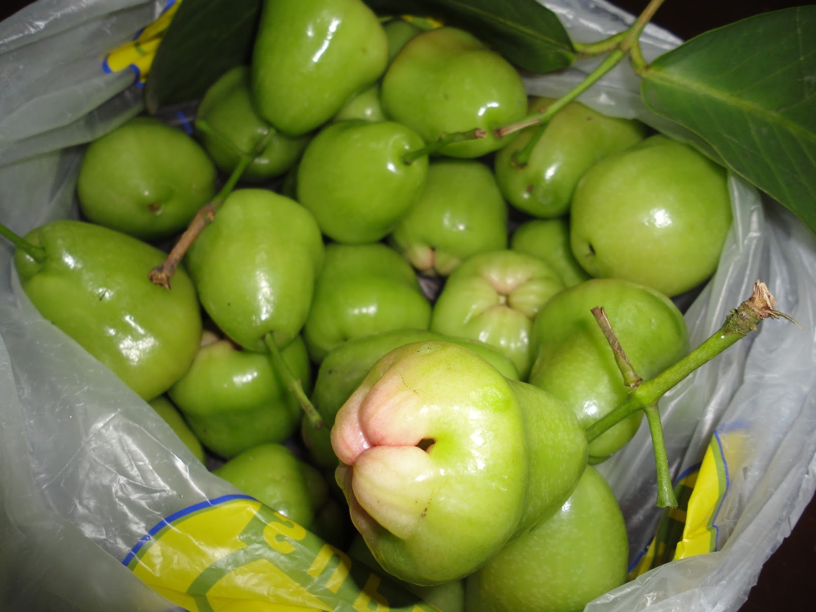 What's In My Head: Green Tambis