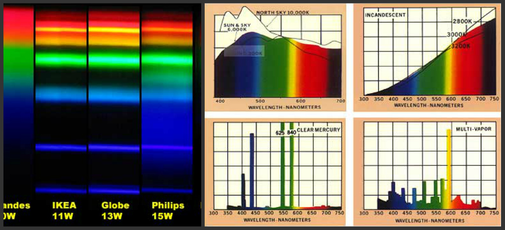 Mme Green's Classroom: Light Labs