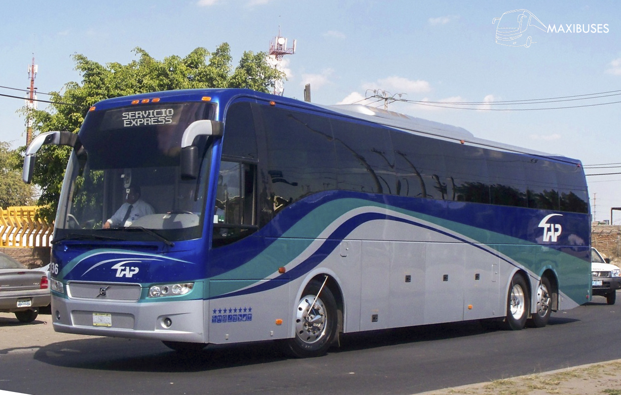 MAXIBUSES: TRANSPORTES Y AUTOBUSES DEL PACÍFICO (TAP)