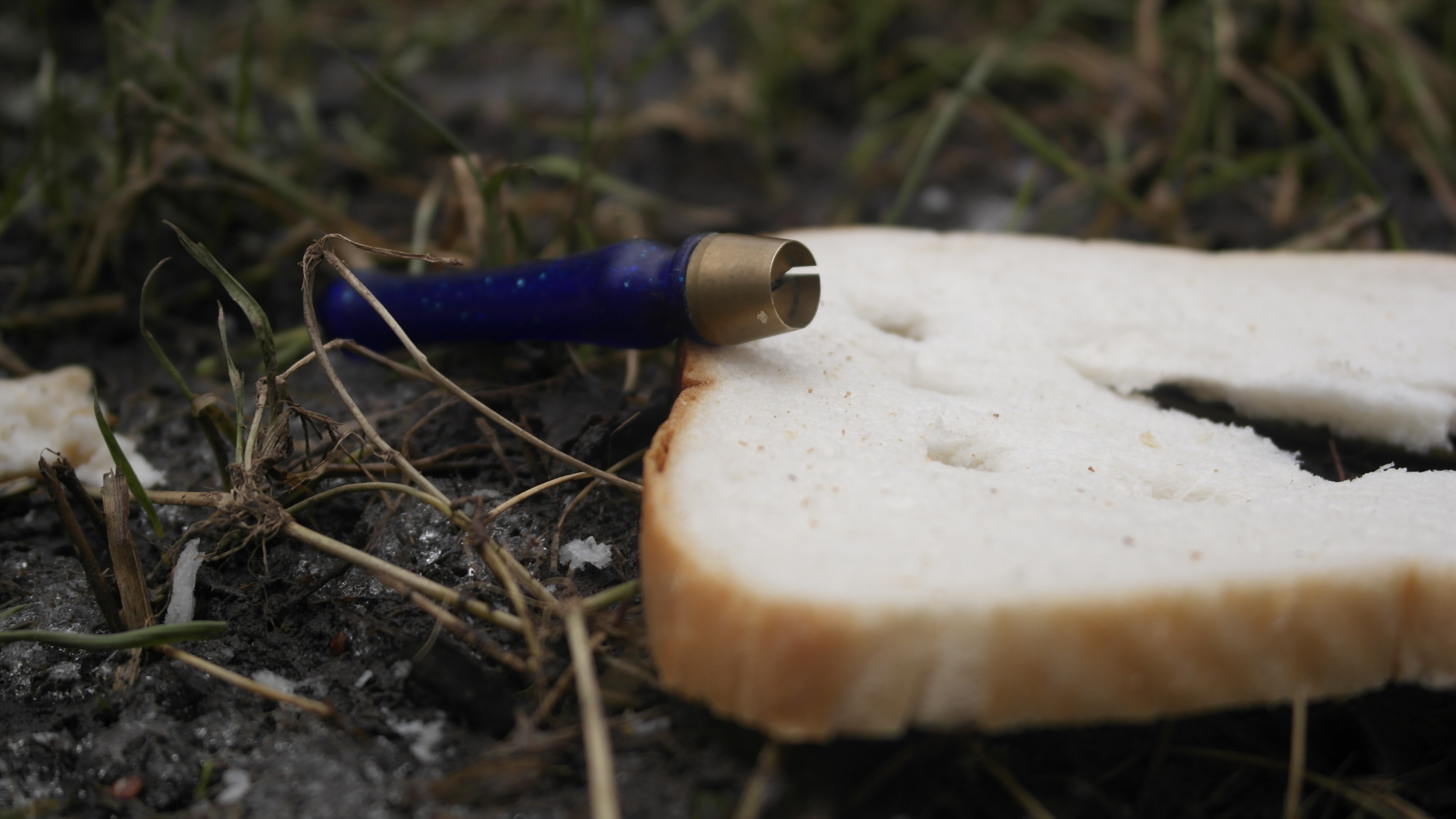 Piscatorial Quagswagging: The Tiny River Alne - Mussitation and Mustelids