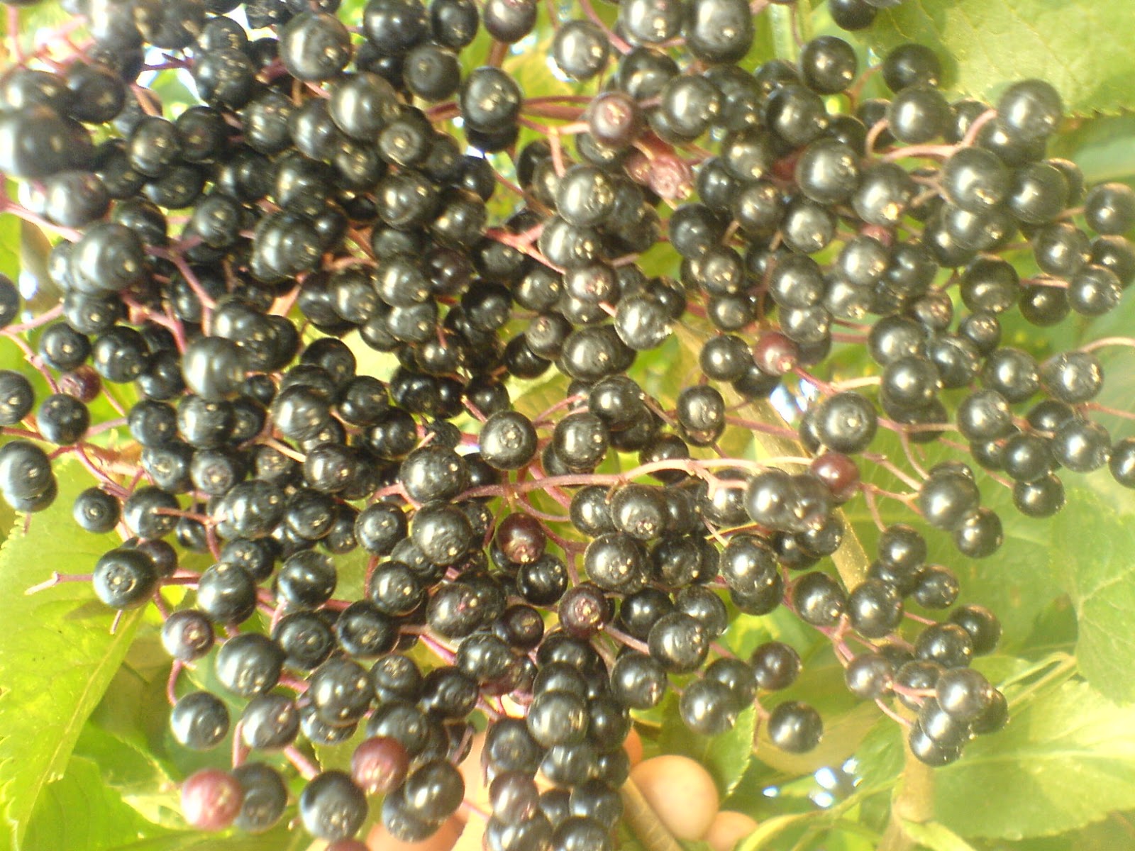 Socul | Preparatedevis.ro