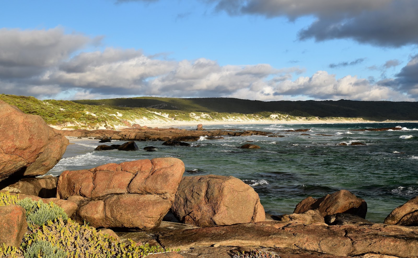 Goin' Feral One Day At A Time: Point Road Campground to Deepdene ...