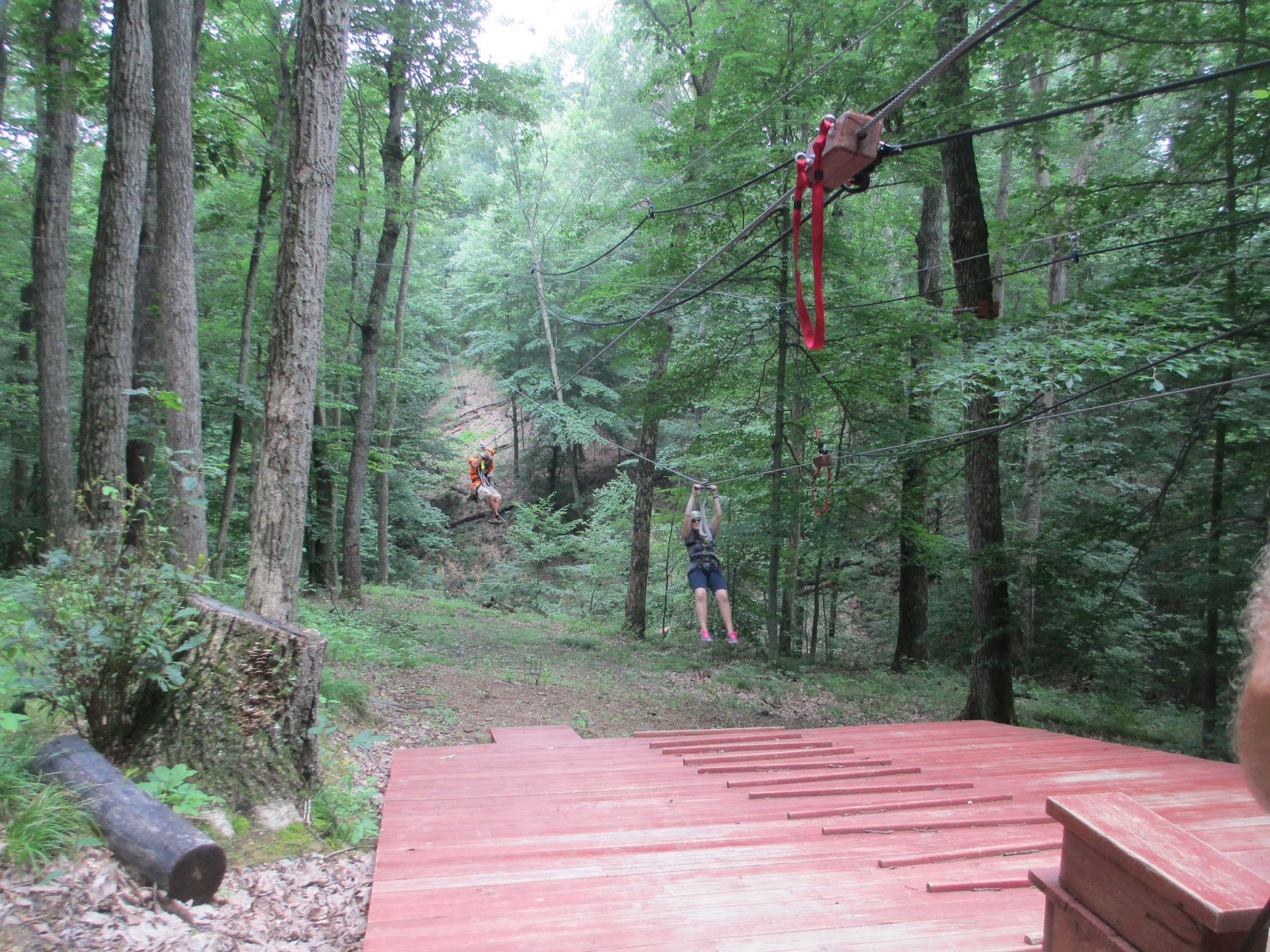 Ziplining Across the USA: Thursday July 4 Explore Brown County Zip Line