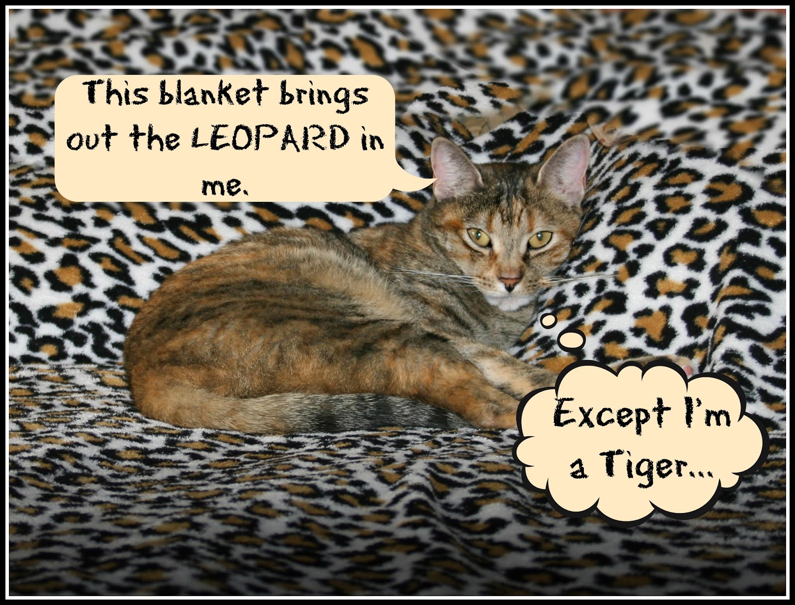 Peaches and Paprika: Happy Faux Fur Friday 2019