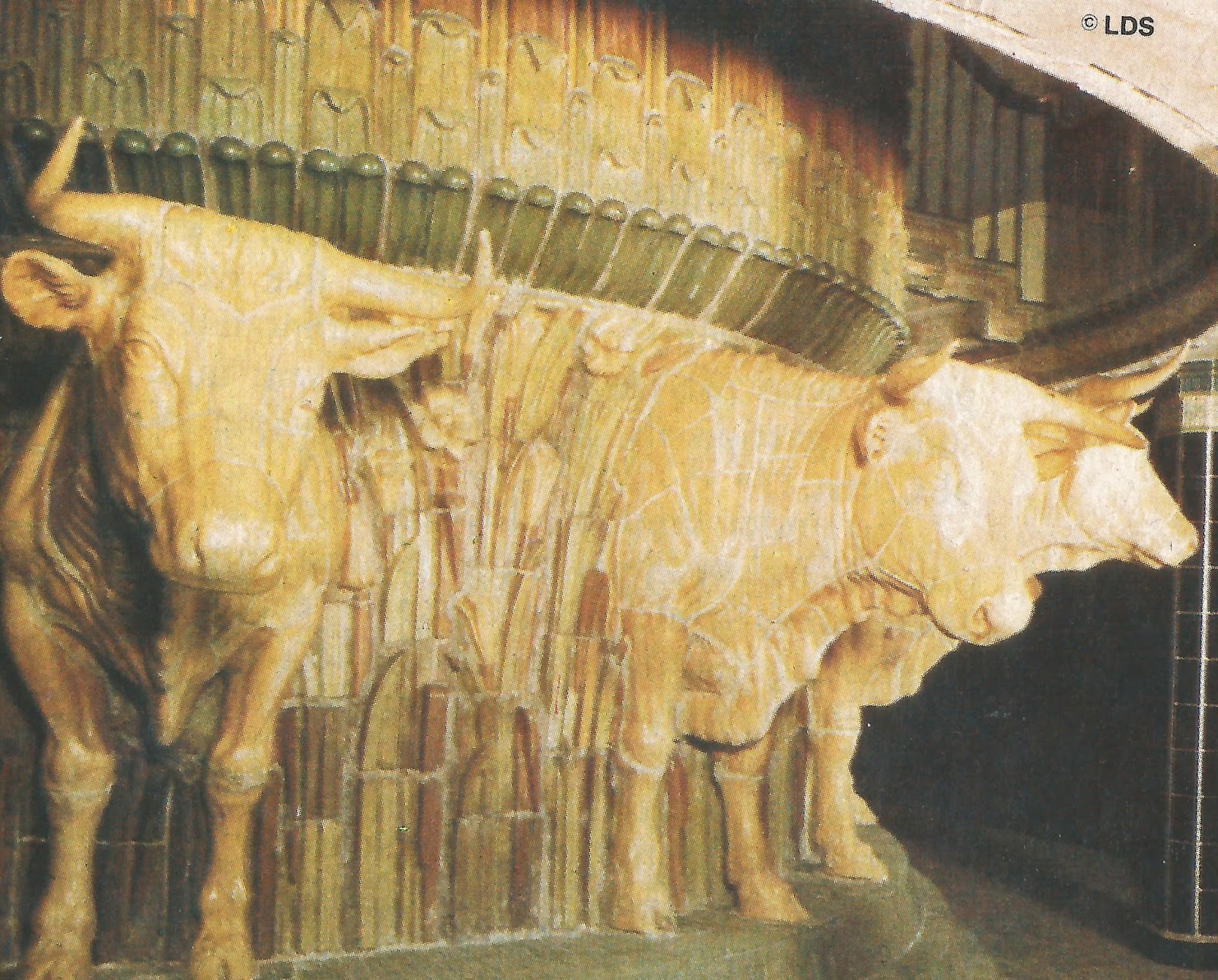 Historic LDS Architecture: Mesa Temple: Interior