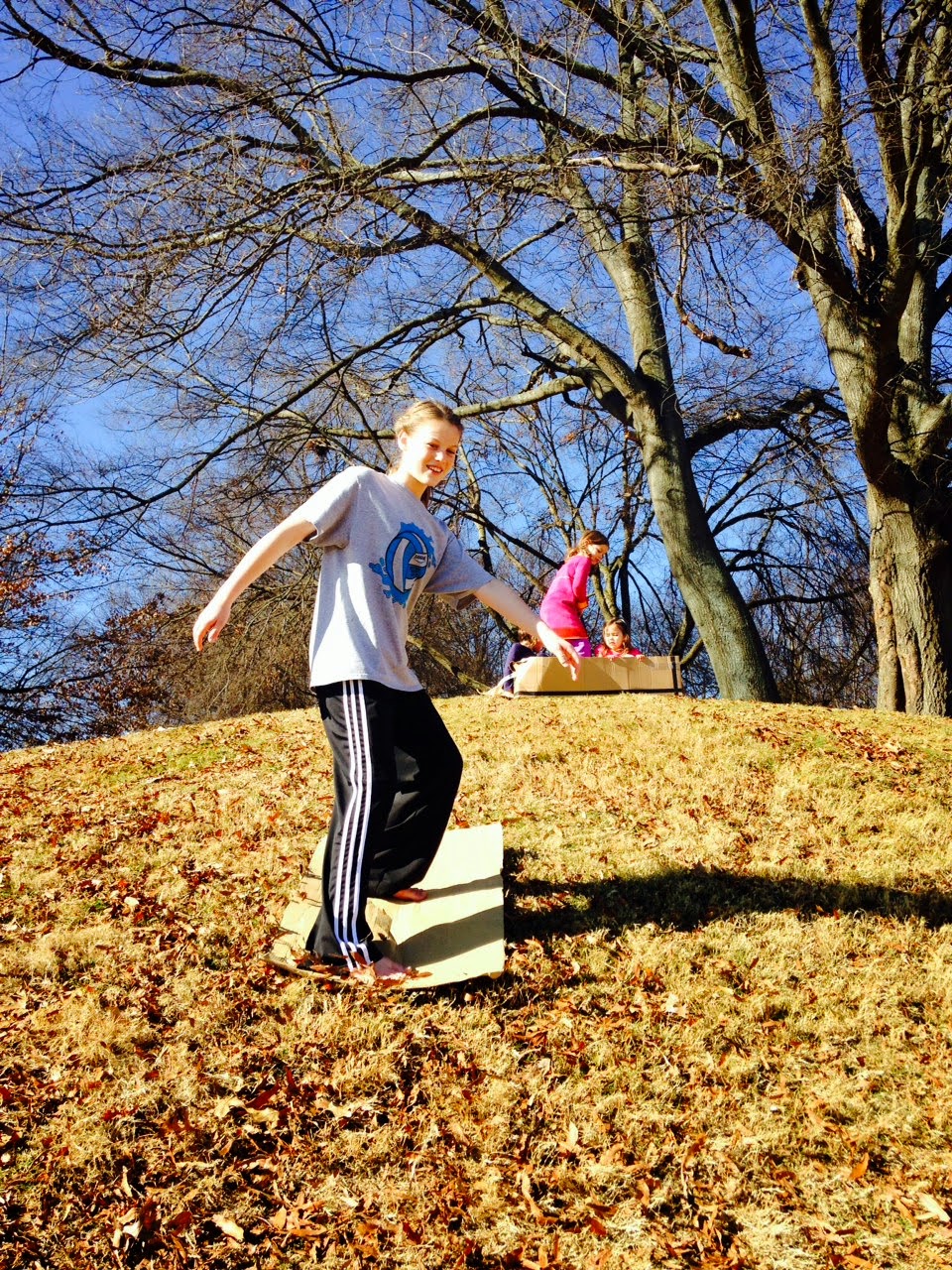interior castle: Grass sledding 2014