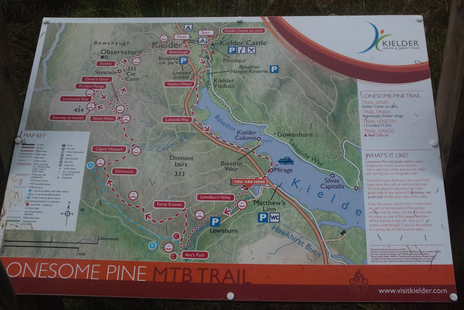 Helen Shaddock: Art and Architecture at Kielder Forest