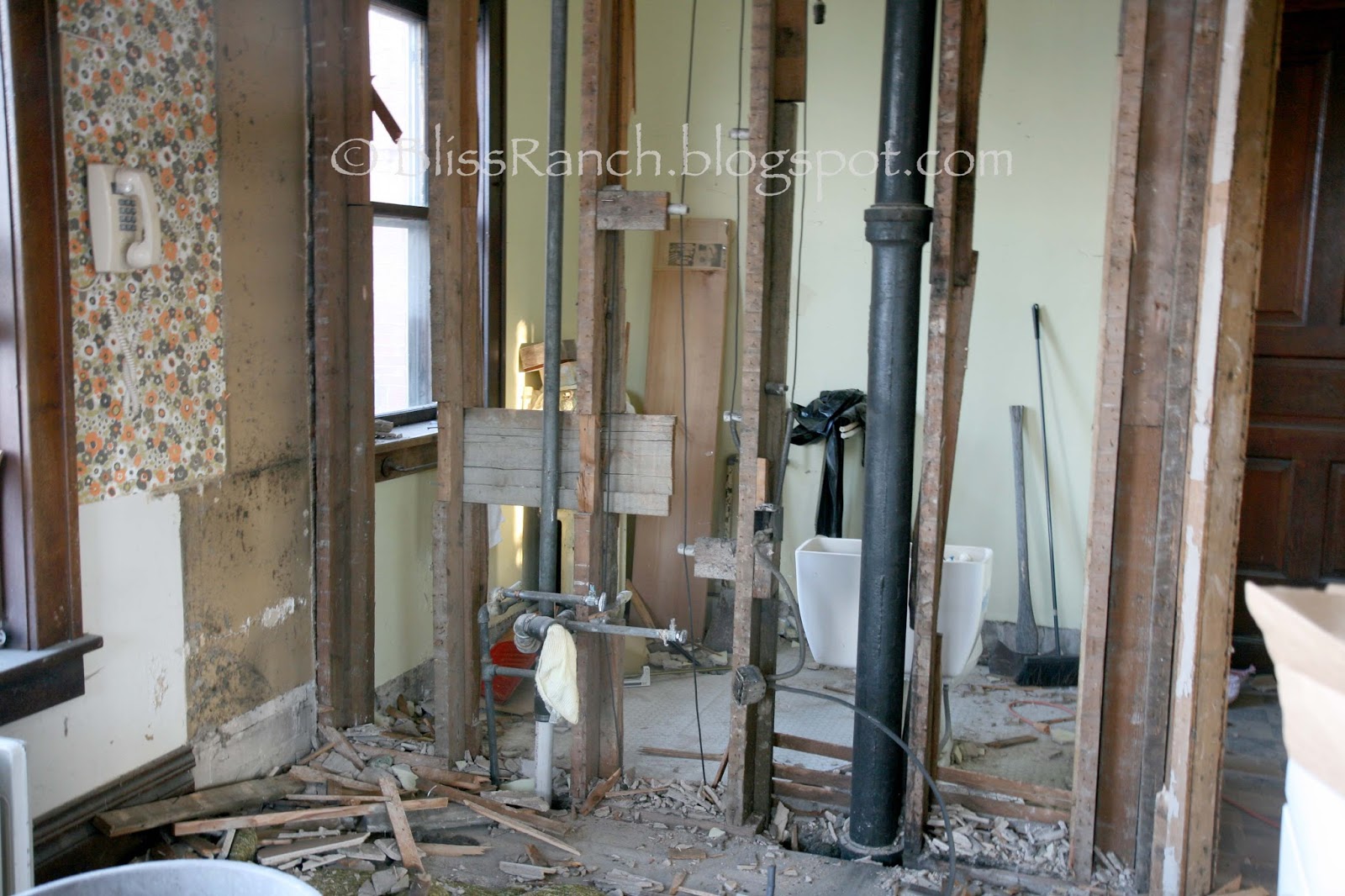 Bliss Ranch: Where Are They Now... At The Ranch