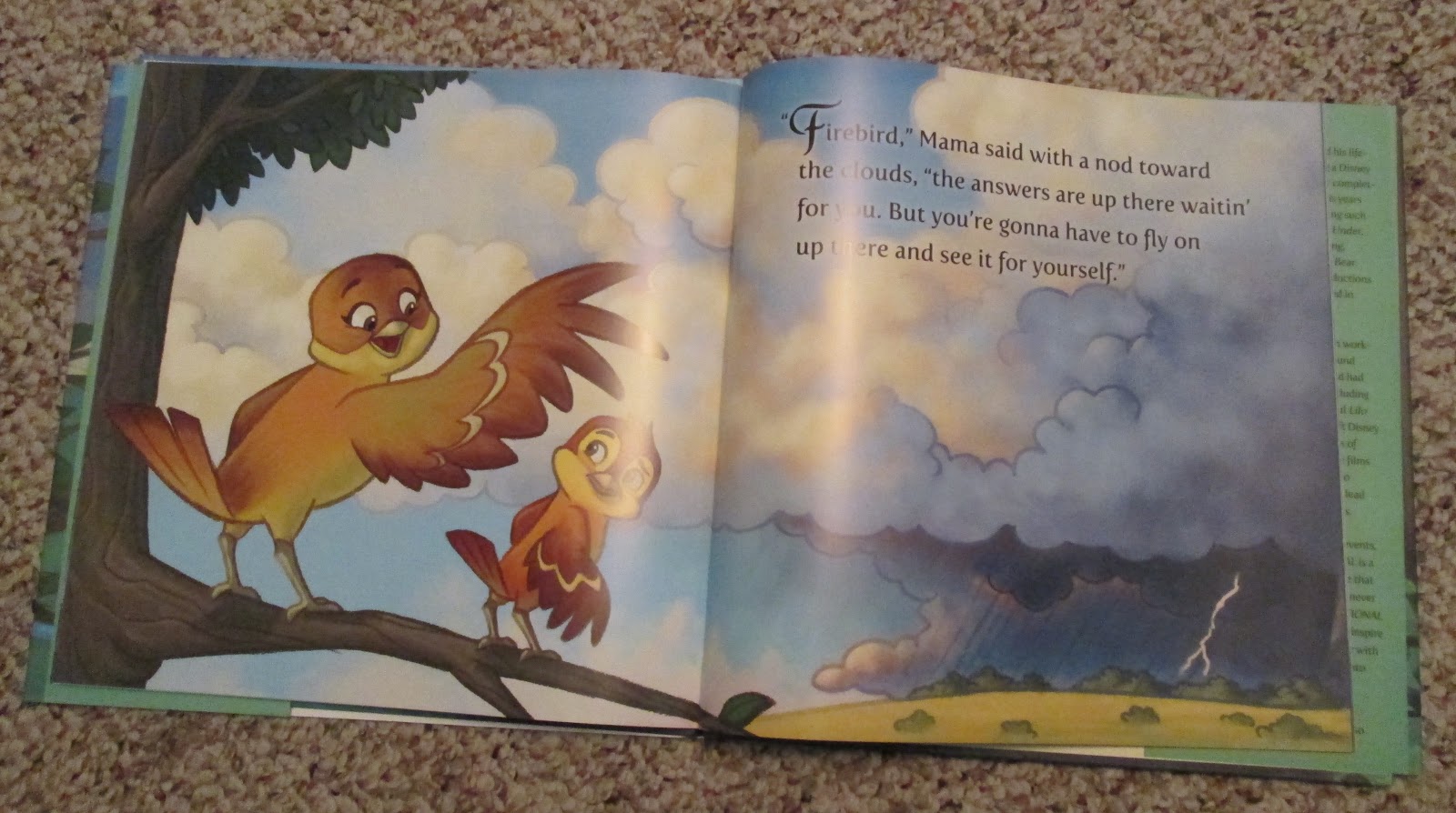 Domestic Randomness: A Children's Book Review - Firebird by Brent ...