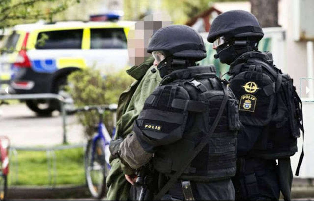 Gsg9 1/87 Unité spéciale: Piketen