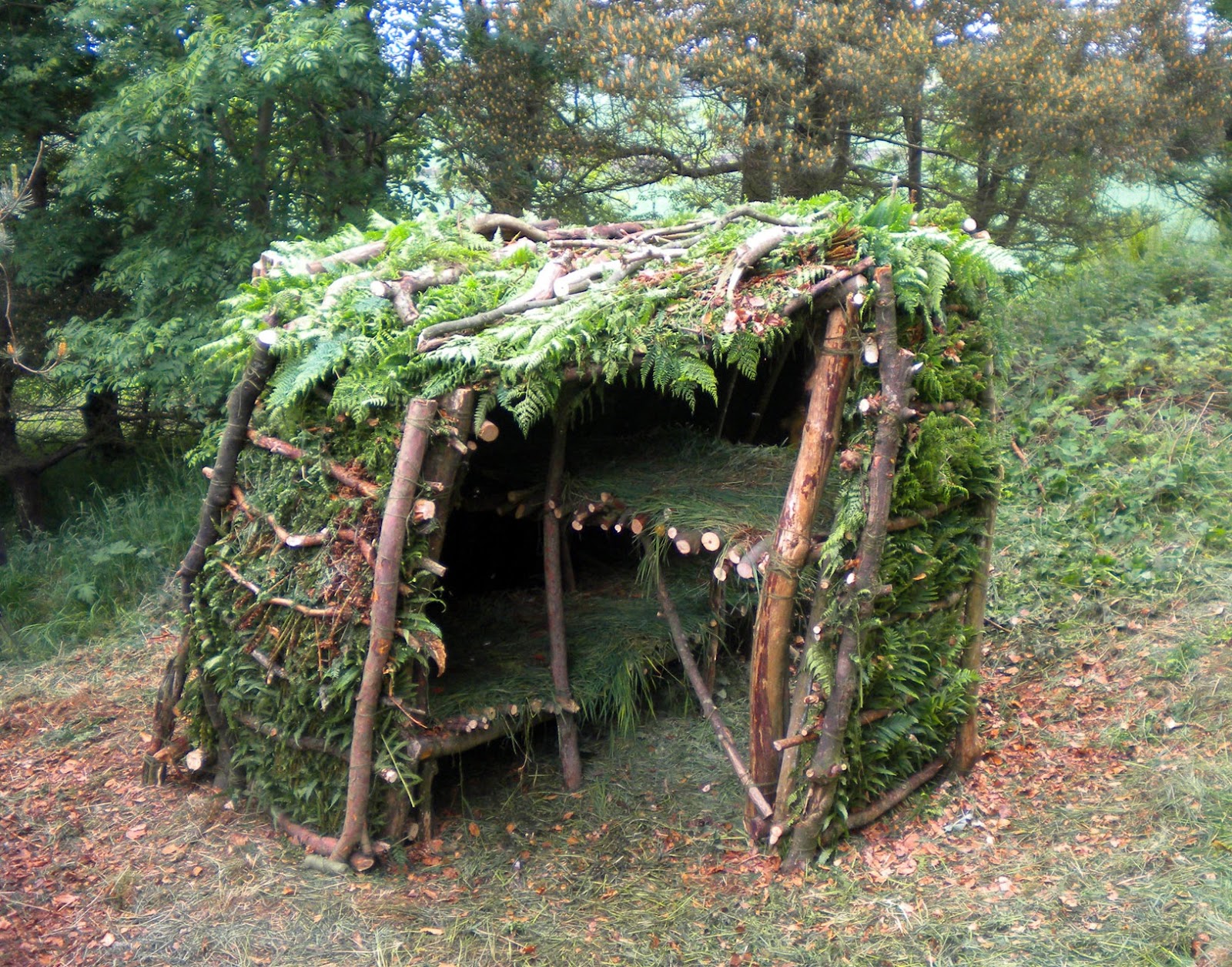 Alec Finlay: bow down: a bower for Duke's Wood