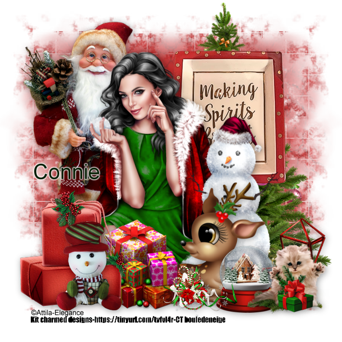 BOULEDENEIGE ET SES CT: CHARMED DESIGNS