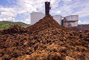 Inovasi Biomasa : Produksi EFB Pellet atau EFB Biochar