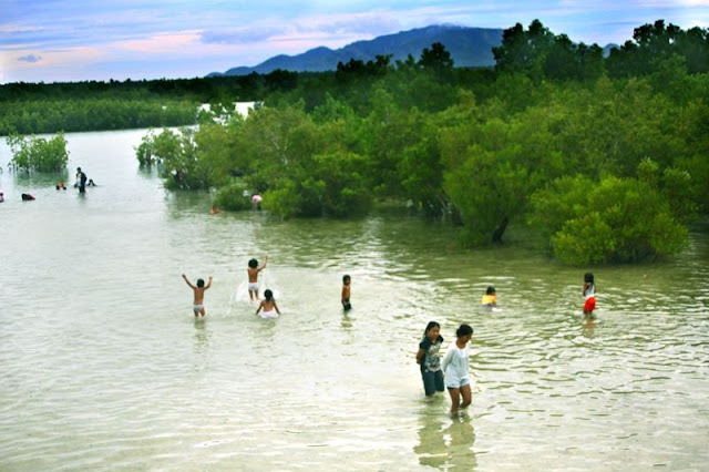 Make It Davao: Guang-Guang Mangrove Park and Nursery