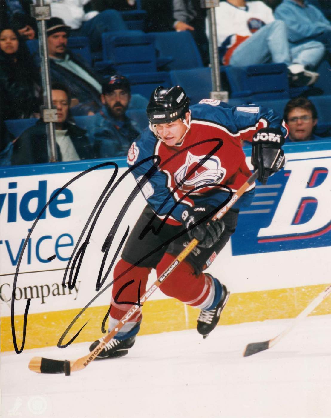 The Chronicles of Fuji: Friendship and Flea Market Freebies