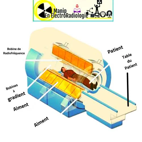 IRM (Imagerie Par Resonance Magnetique)