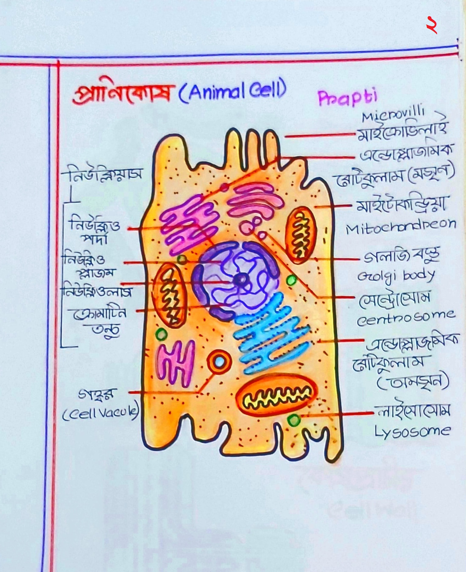 SSC Biology Chapter 2 Hand Note