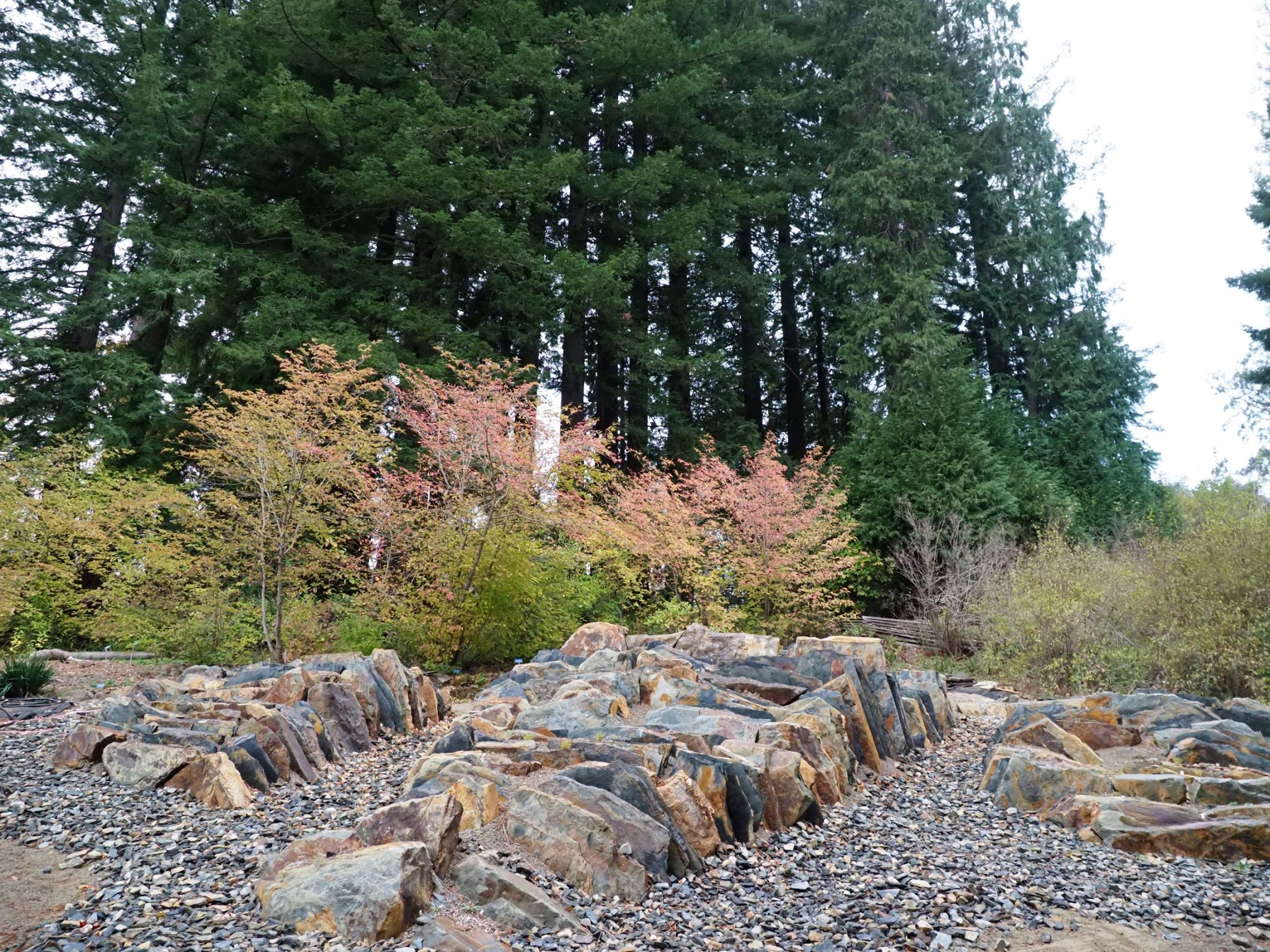 I Need A Cup of Tea: A Flame in the Tinderbox: Crevice Gardens in ...