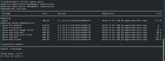 How to install Packages using dnf on RHEL 8