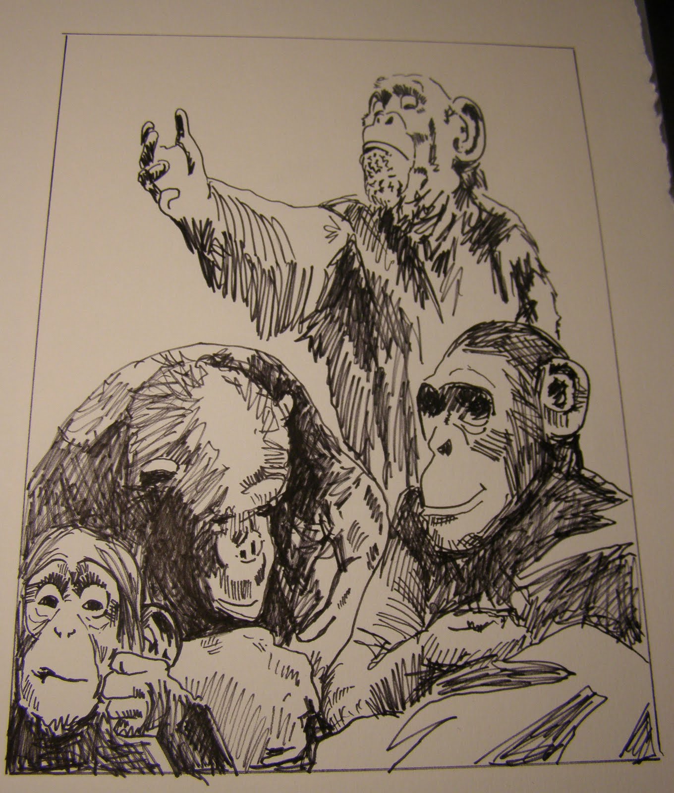 NATHANIEL GOLD: The Social Network