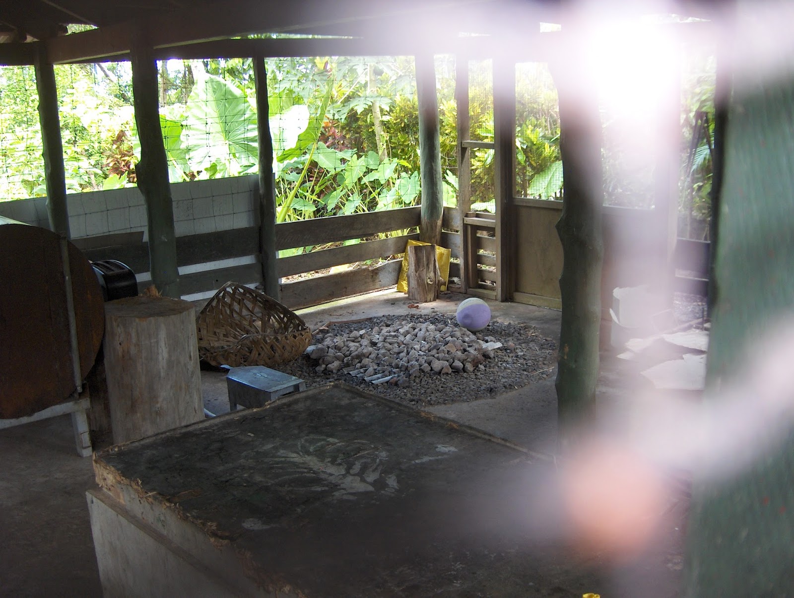 Samoa Revisited: Lupe Ieremia and The Village of Falelatai