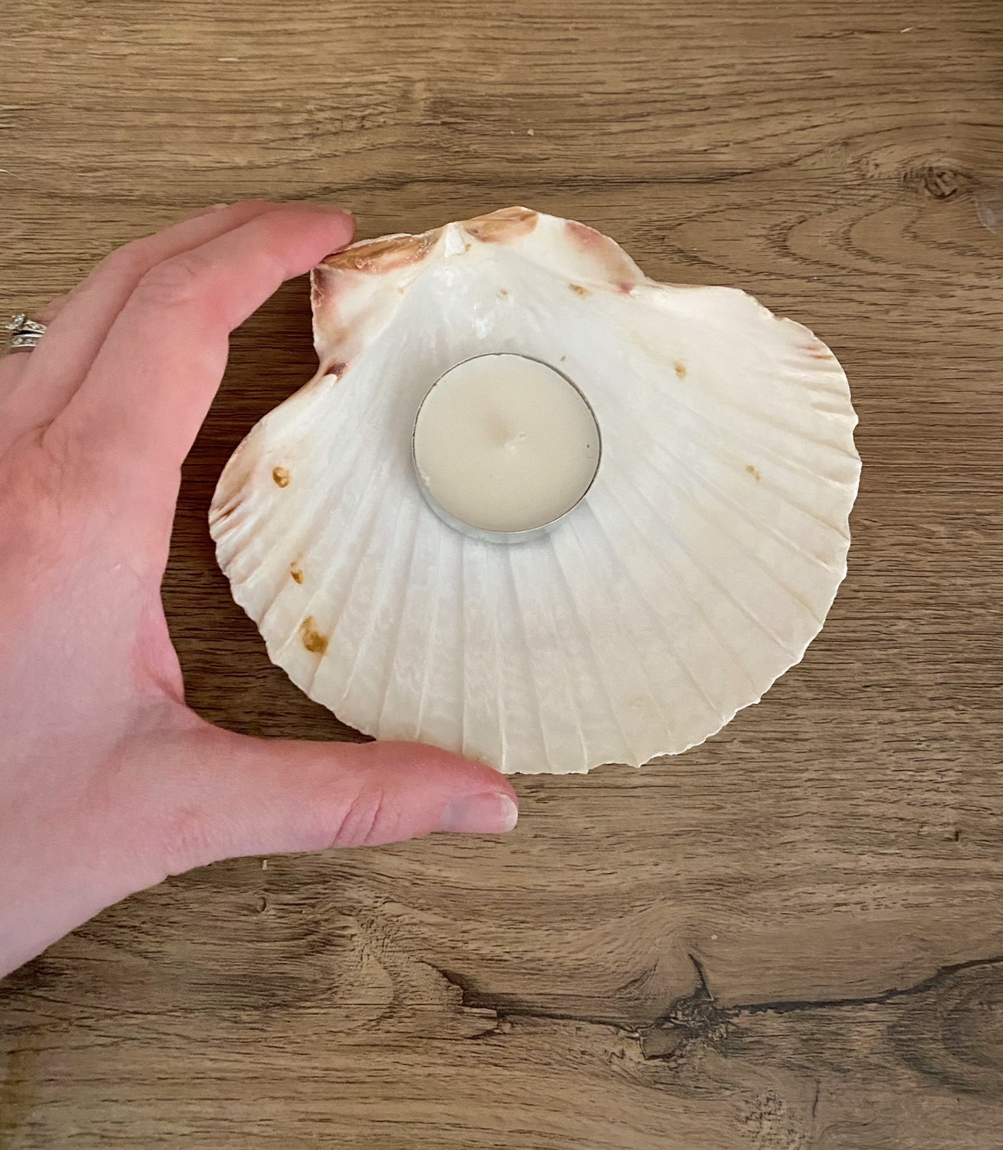 DIY Shell Candles {Weekend Mini-Make} | Dove Cottage