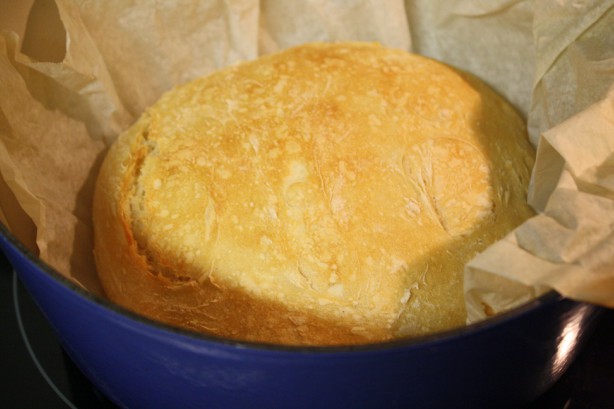 4 Ingredient Crusty Bread — Mommy's Kitchen
