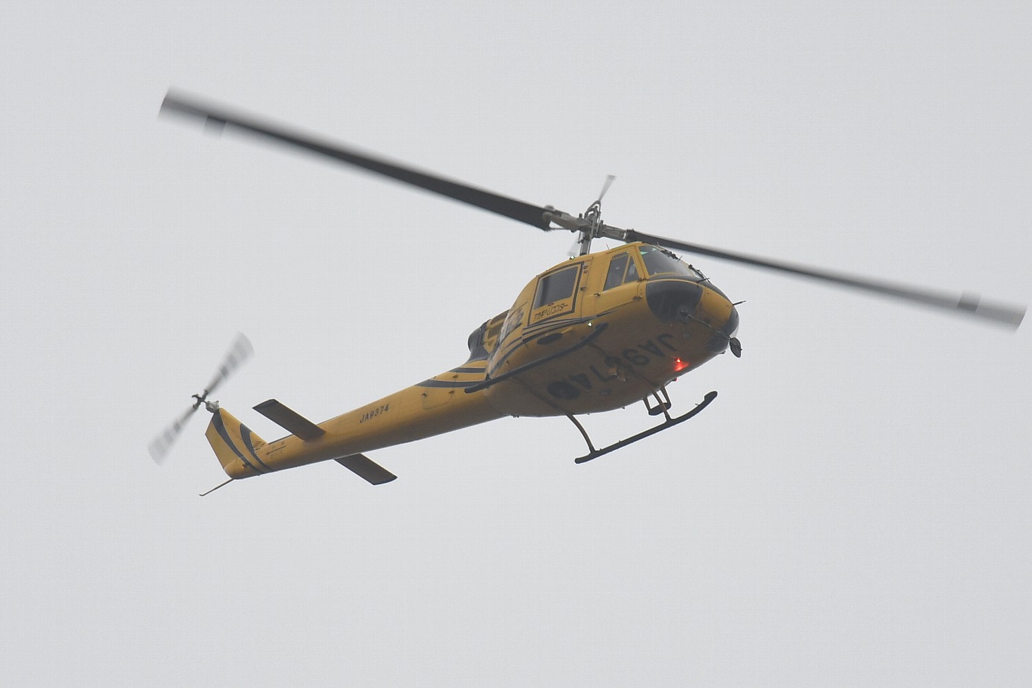 へりとりぶろぐ: 雨も羽音も止まらない