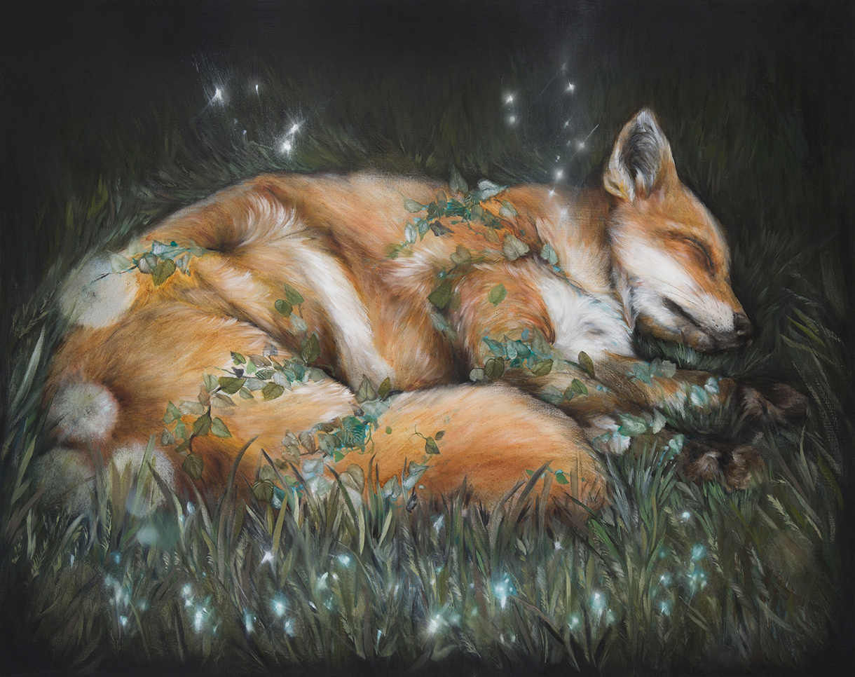 Fox who dreams of being hibernating / Volpe che sogna di essere in ...